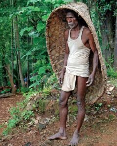 What do you know about the tribes of Goa and their backgrounds?
