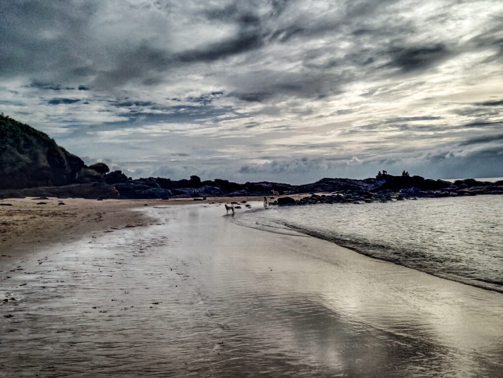 5 More Than Exciting Things to Do in Goa during Monsoons