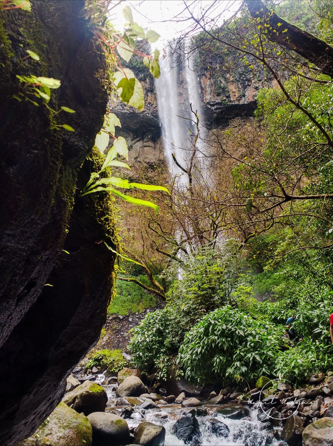 10 Mesmerizing Waterfalls in Goa You Should Visit
