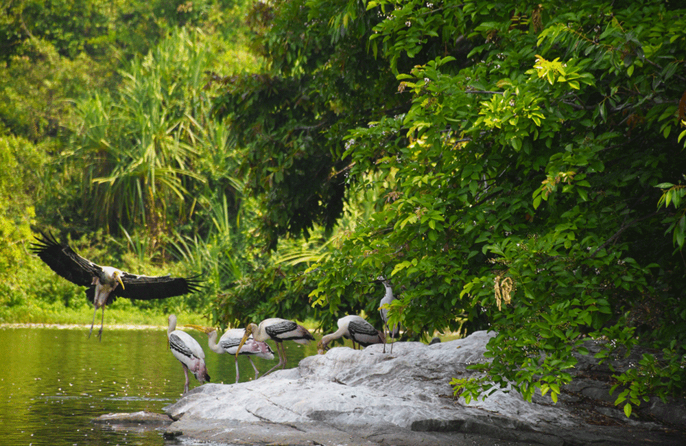 Off beat Trip to Goa: 10 things to do for a Cool Goan Experience